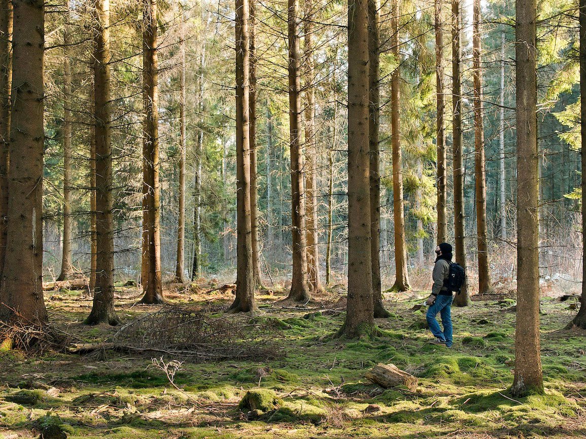 5 Reasons to Spend more time Outdoor - Natural Organic Living